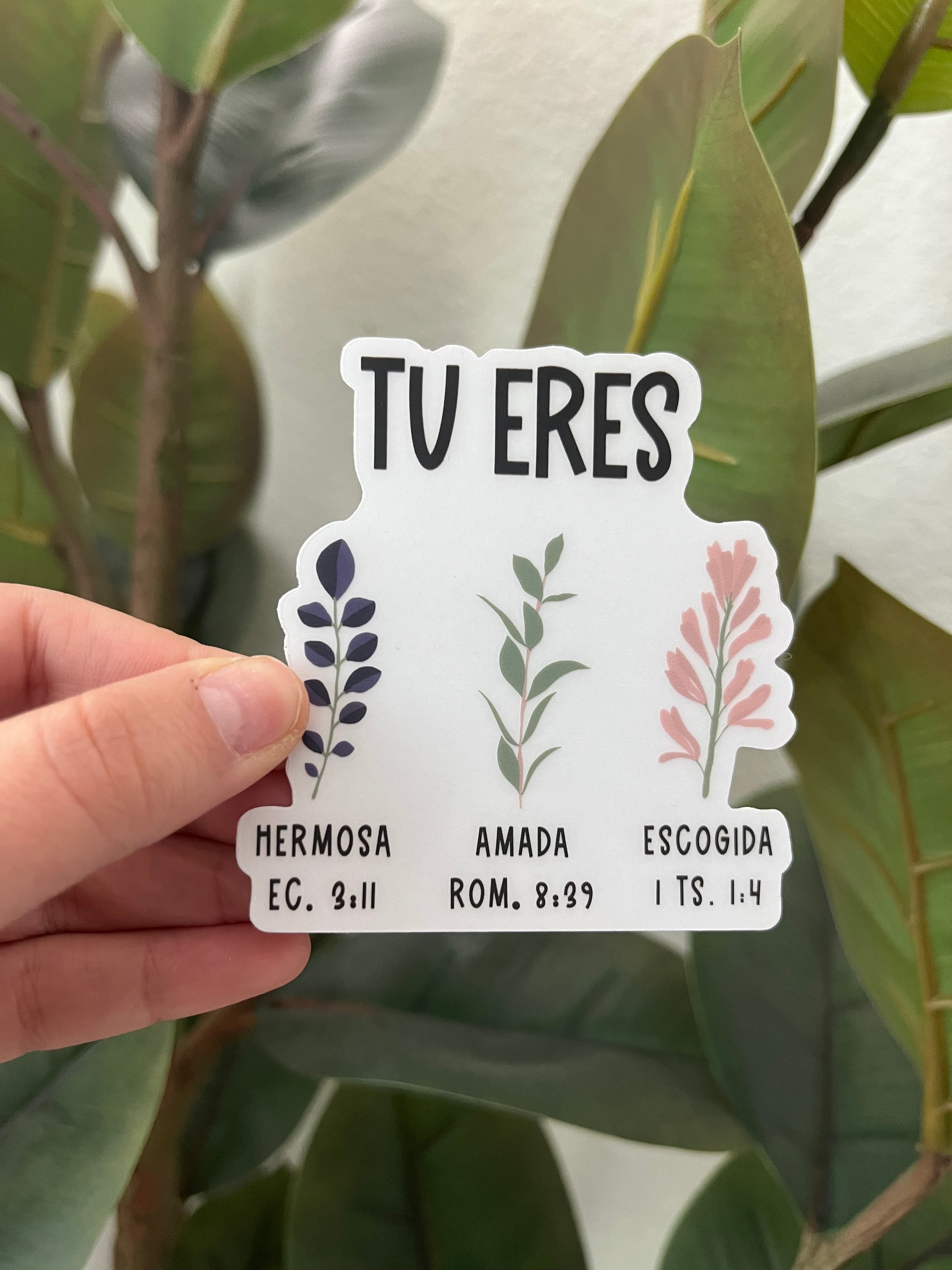 Tu Eres Calcamonia Transparente – Kind- Edge